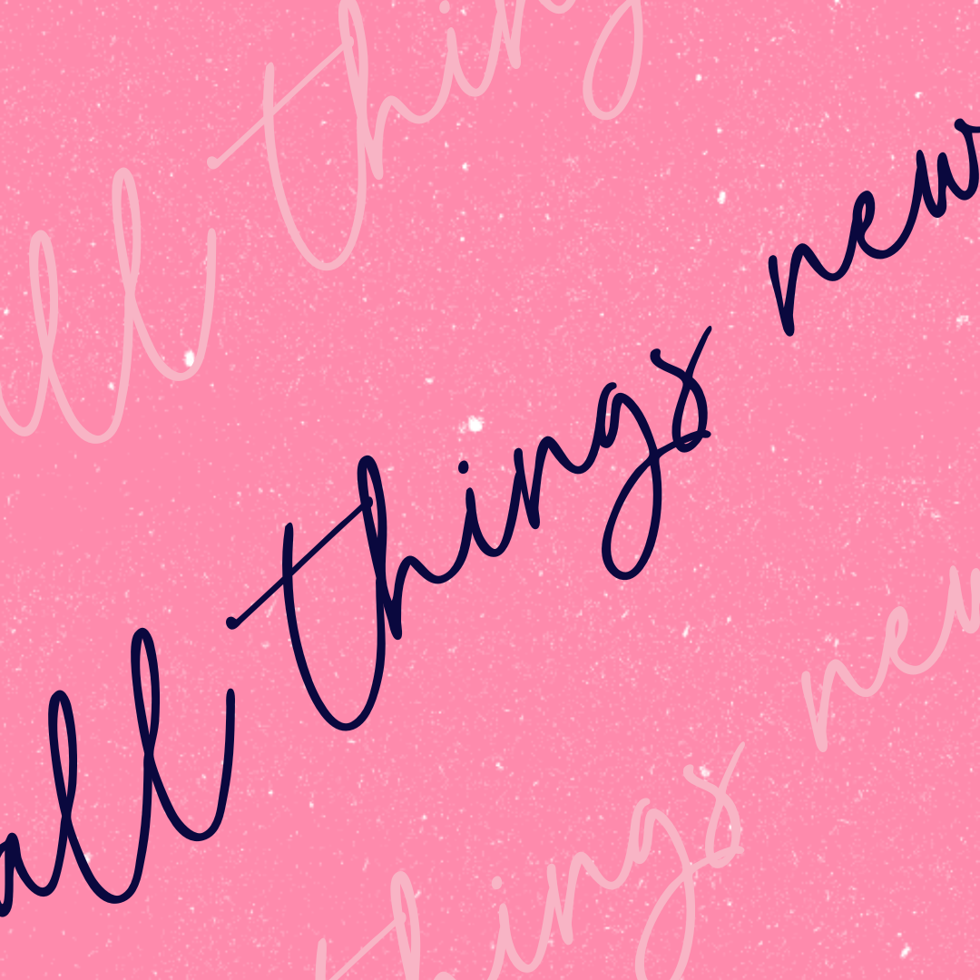 New Arrivals – Anchor Apparel & More
